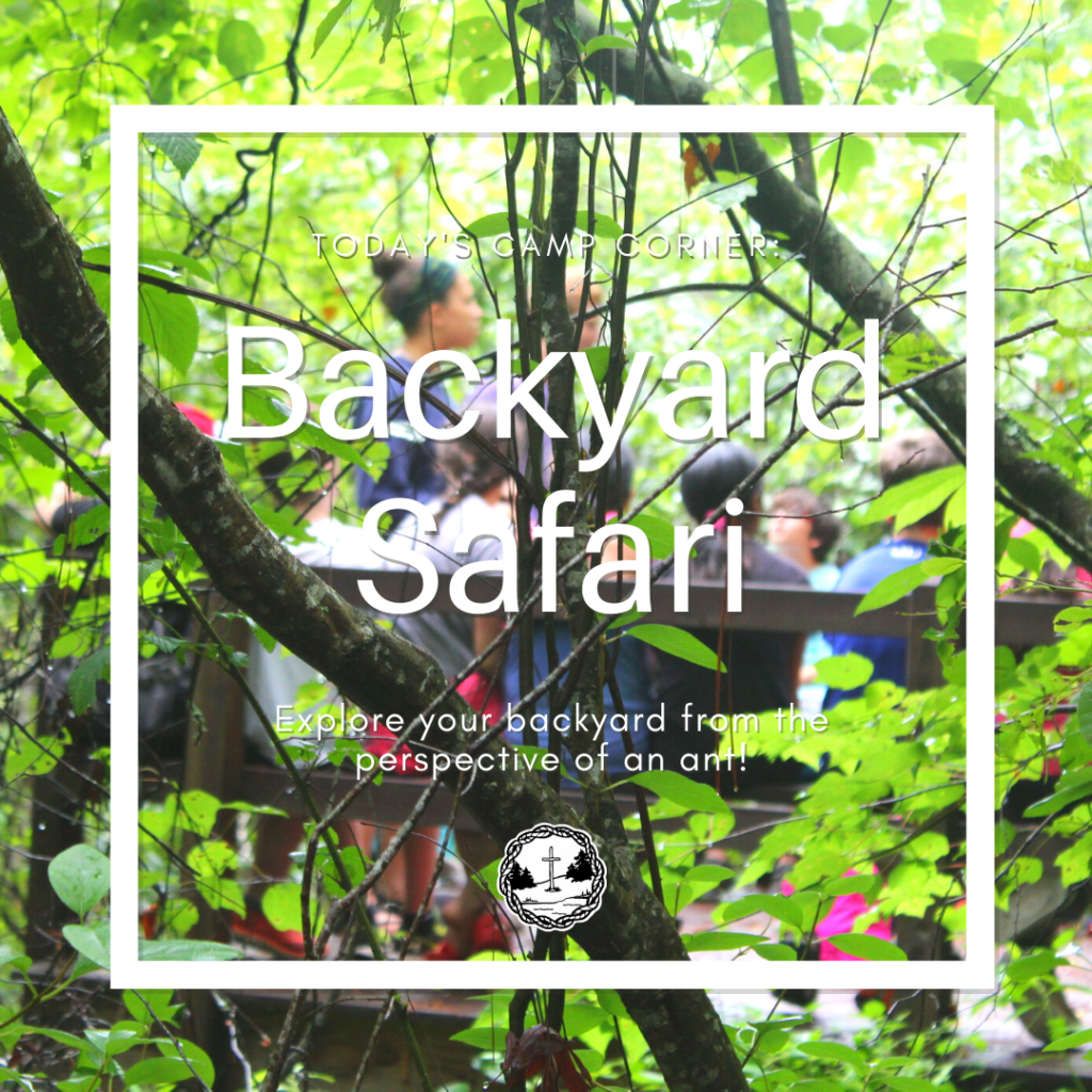 09-Backyard Safari - Pine Lake Fellowship Camp