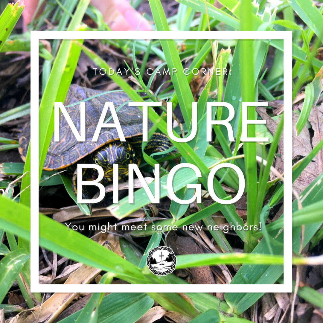 28-Nature Bingo - Pine Lake Fellowship Camp